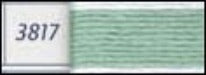 3817 - DMC Light Celadon Green – The Daily Stitcher